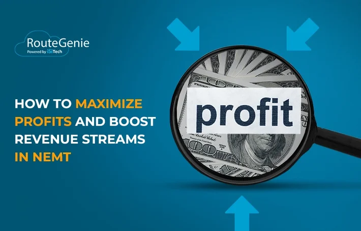 How to Maximize Profits and Boost Revenue Streams in NEMT - RouteGenie